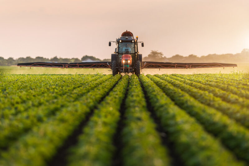 Ecowize Food Hygiene & Sanitation: Ensuring Food Industry Safety