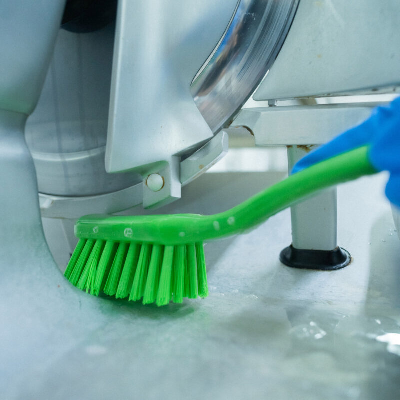 Ecowize Food Hygiene & Sanitation: Ensuring Food Industry Safety